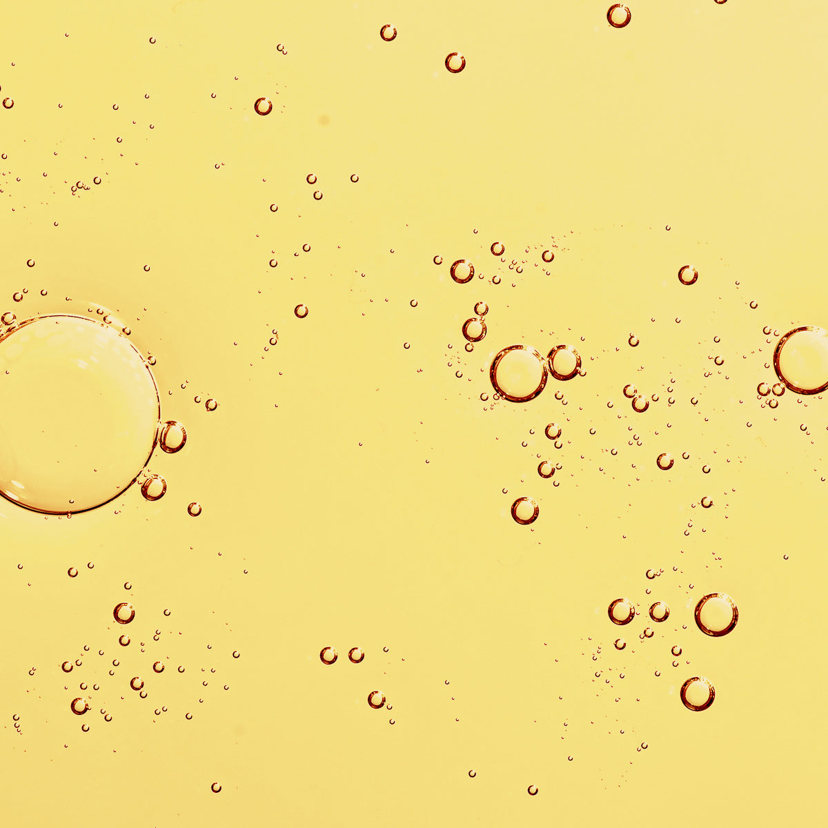 Buy Organic Face Oil | Noni Glow Face Oil | KORA Organics